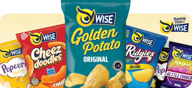 Wise Chips Deploys Salient for Profitability Management